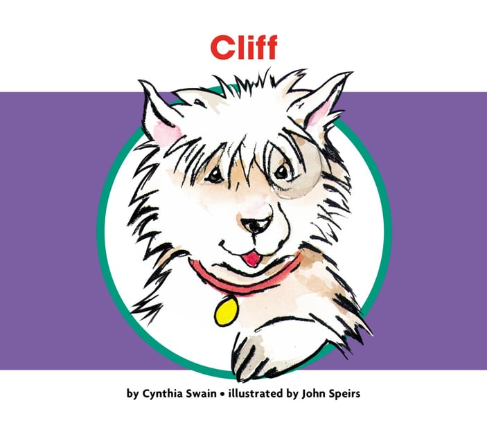 Decodable Fluency Builders - View Virtual Samples