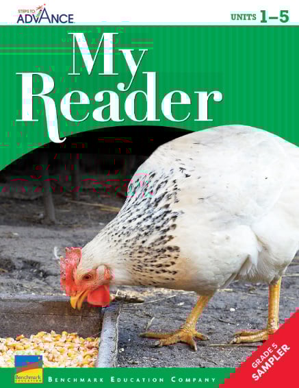 Steps to Advance Literacy Solutions Virtual Sampler