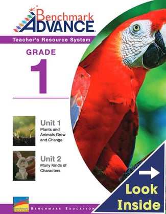 Benchmark Advance ©2022 (National) - View Virtual Samples