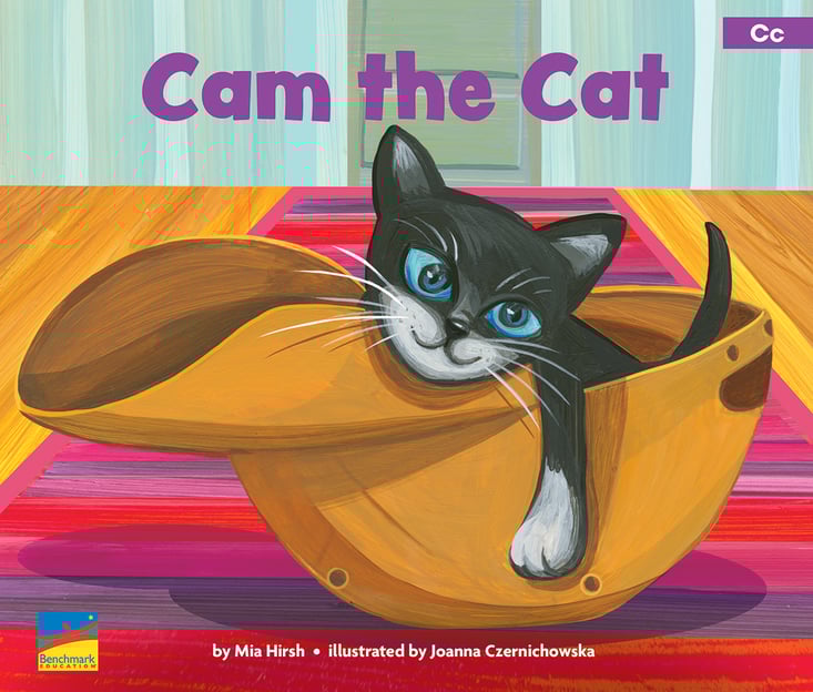 BEC Decodables - View Virtual Samples