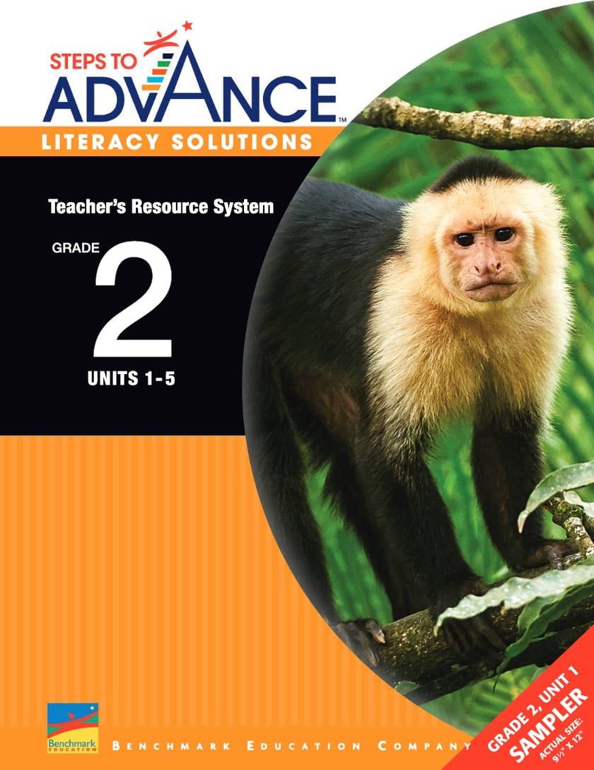 Steps to Advance Literacy Solutions Virtual Sampler