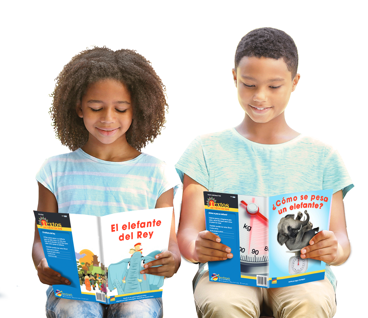 Soluciones - View Virtual Samples