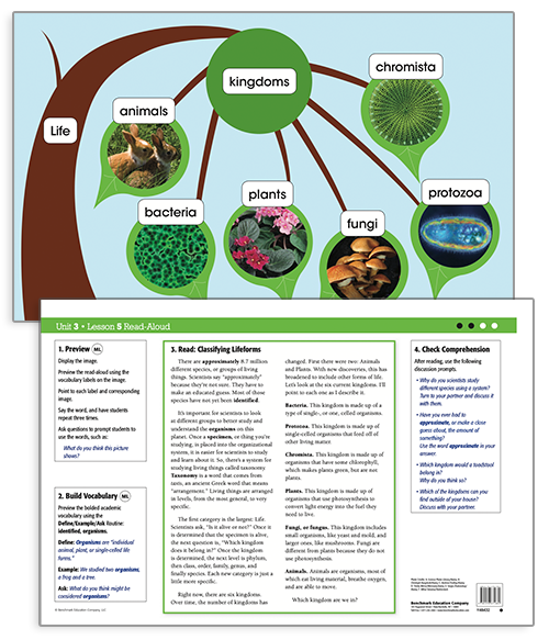 Benchmark Phonics Intervention - View Virtual Samples